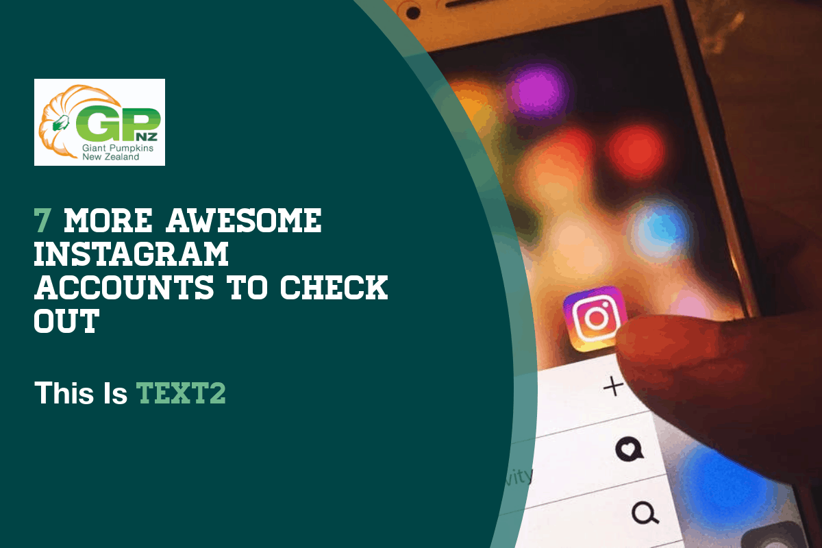 Another 7 Awesome Instagram Accounts to Check Out