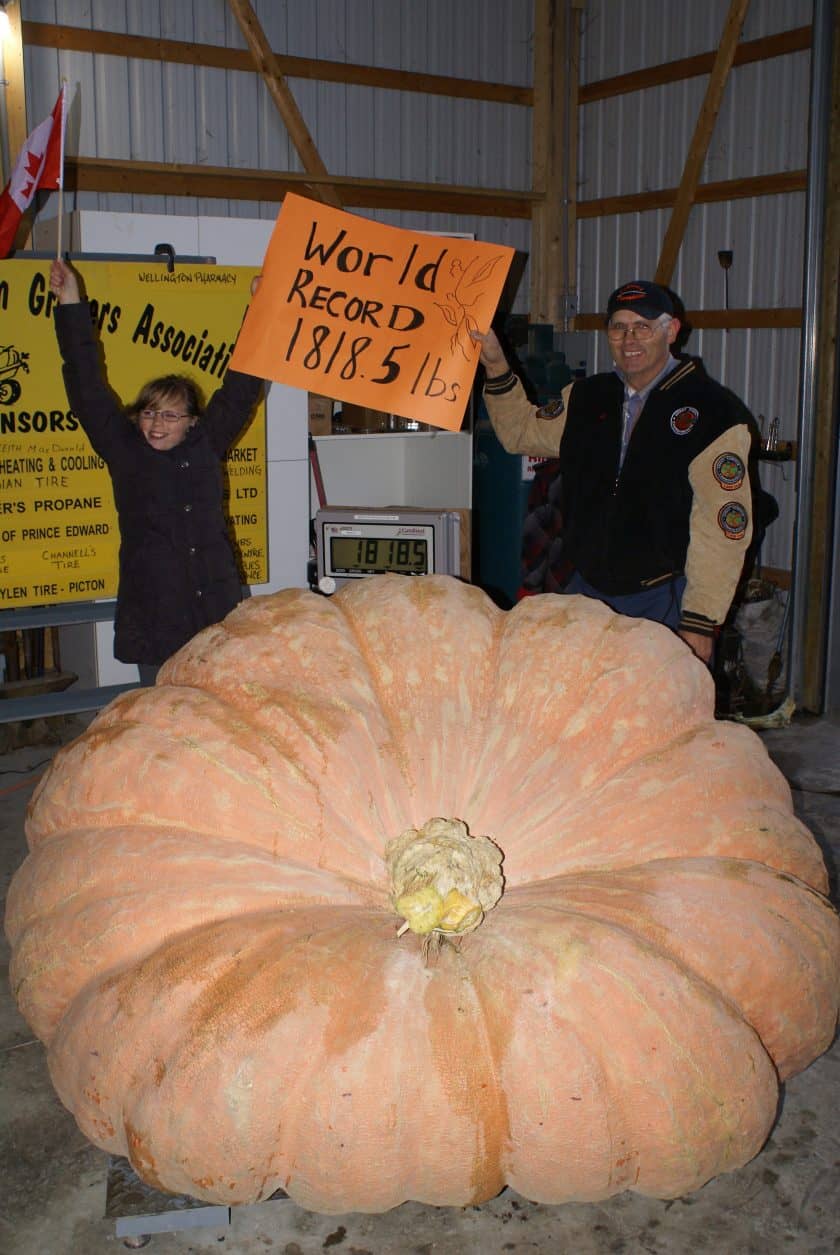 Giant Pumpkin World Records - Giant Pumpkins NZ